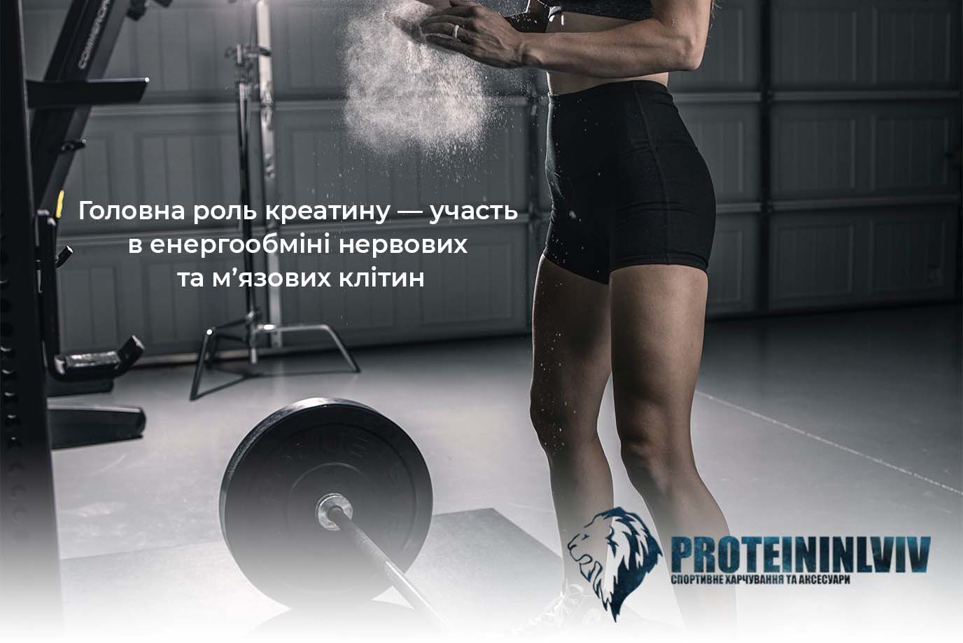 Чи можна за допомогою креатину скинути зайву вагу? - sumy-future.com.ua